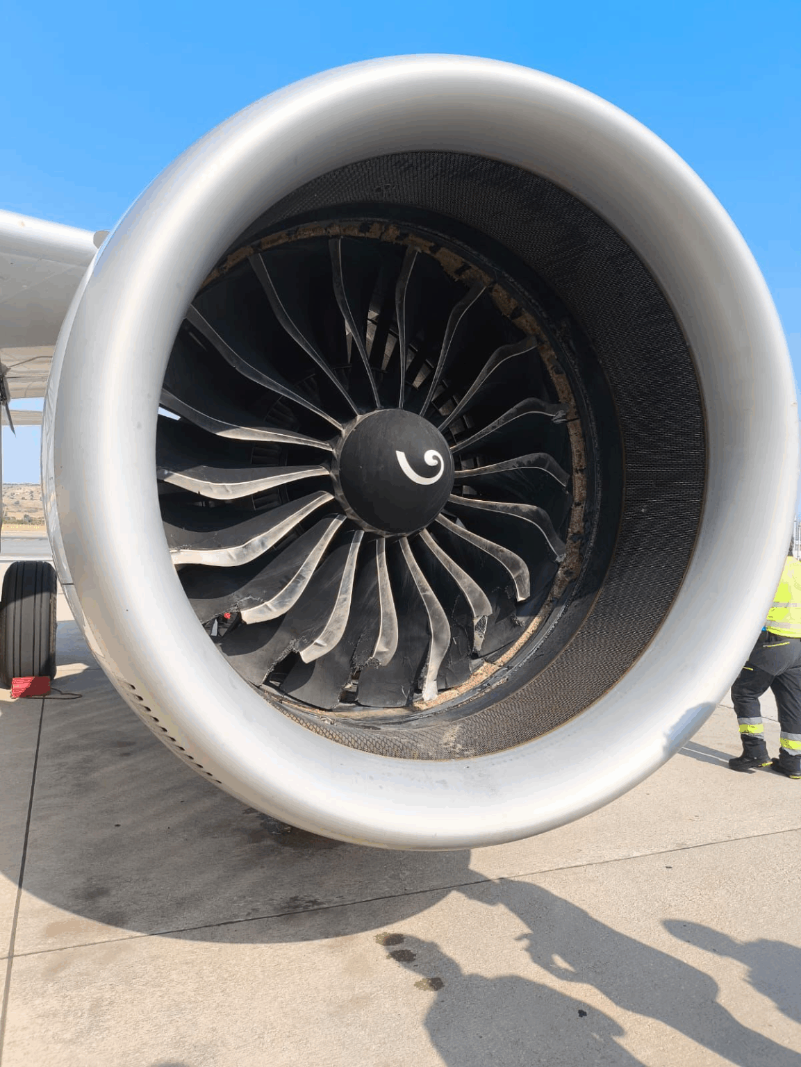 Bird Strike Damages Engine of New Iberia Airbus A321XLR (EC-OOJ) During ...